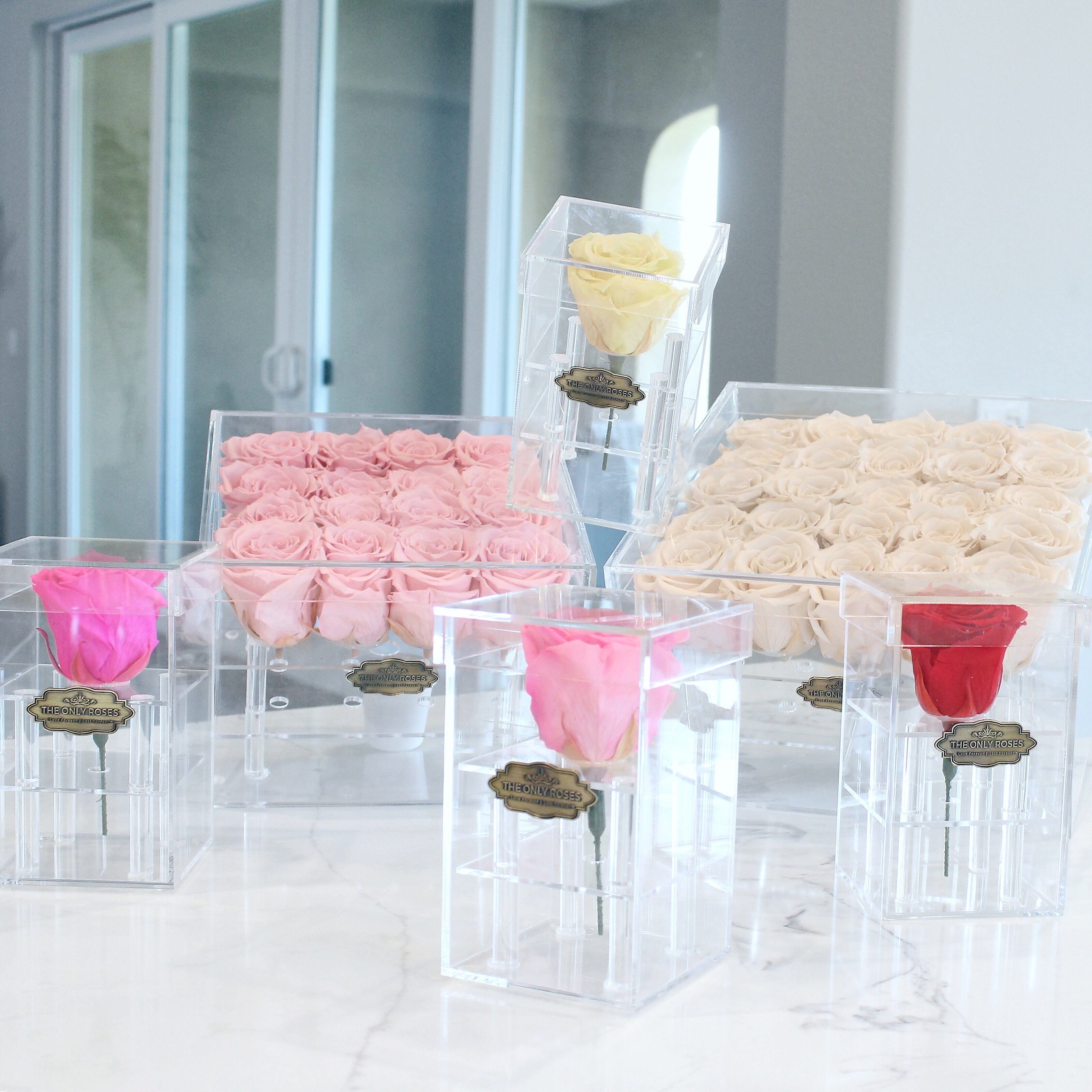 The Fragrant Story and Essence of The Only Roses® – TheOnlyRoses