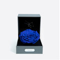Taurus Preserved Rose Constellation Zodiac Birthday Gift (4/20-5/20 ...