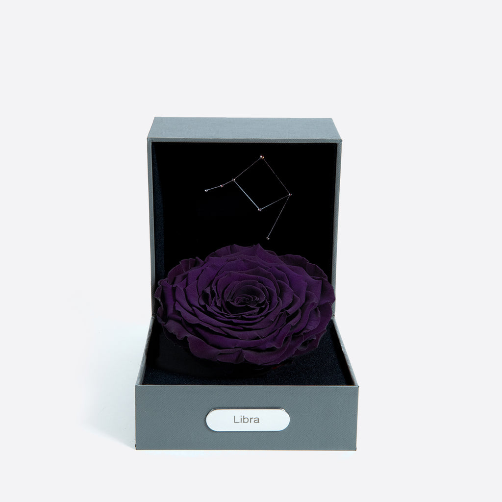 Libra Preserved Rose Constellation Zodiac Birthday Gift (9/23-10/23 ...