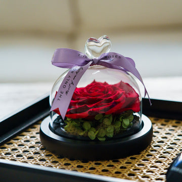 The Only Roses® | Real Flower That Last 3 to 5 Years – TheOnlyRoses