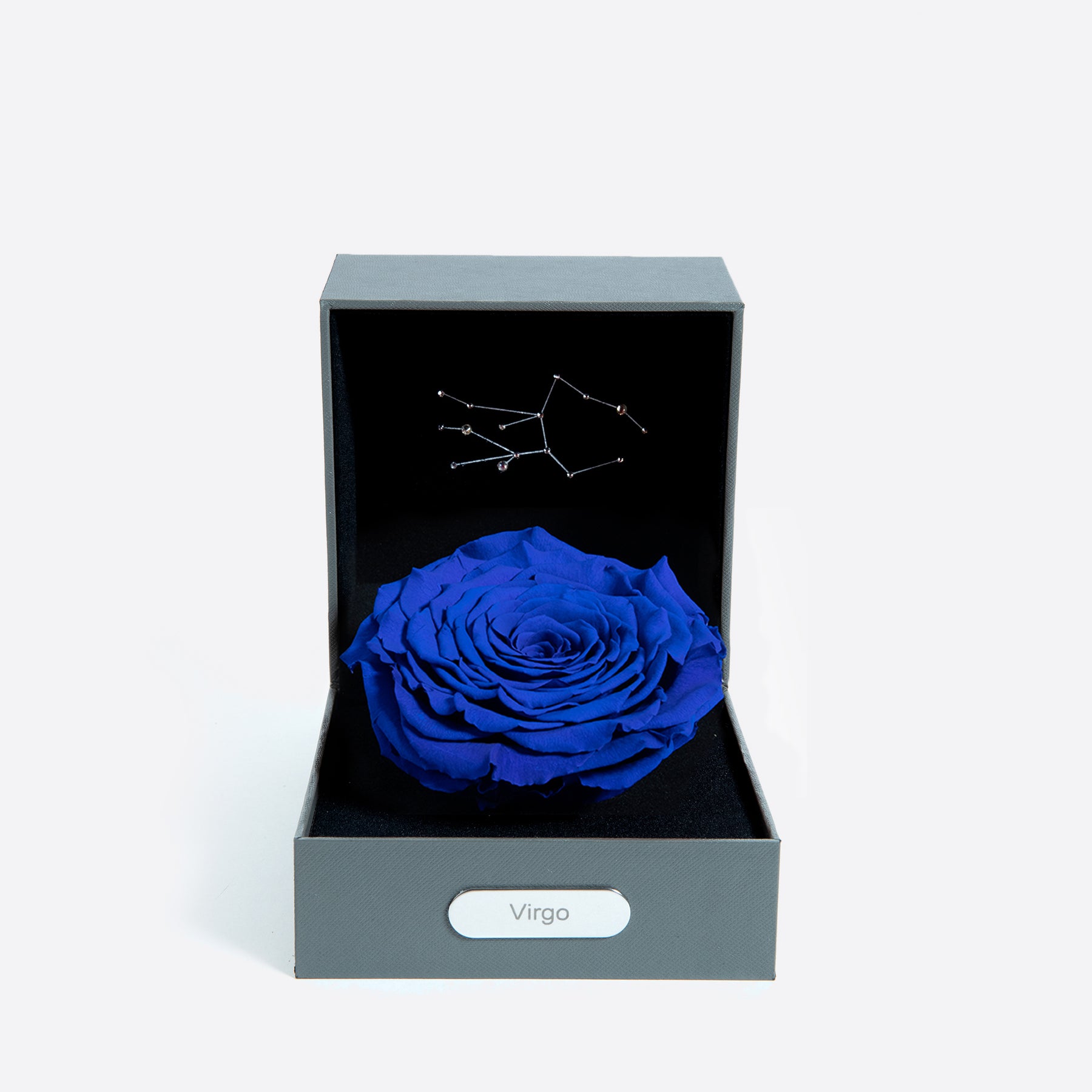 Virgo Preserved Rose Constellation Zodiac Birthday Gift (8/23-9/22 ...