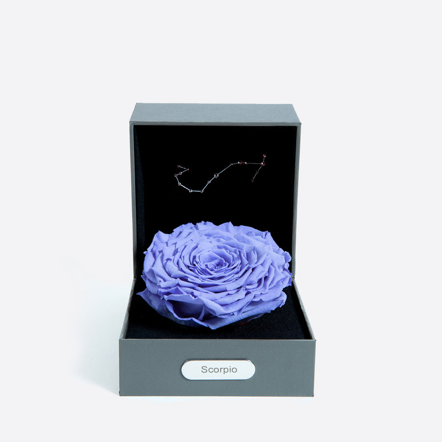 Scorpio Preserved Rose Constellation Zodiac Birthday Gift (10/24-11/22 ...
