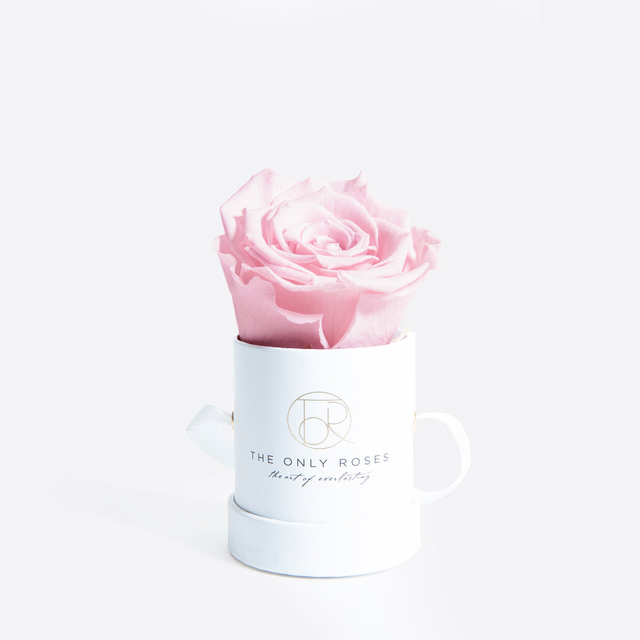 Shop All – TheOnlyRoses