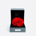 Virgo Preserved Rose Constellation Zodiac Birthday Gift (8/23-9/22 ...