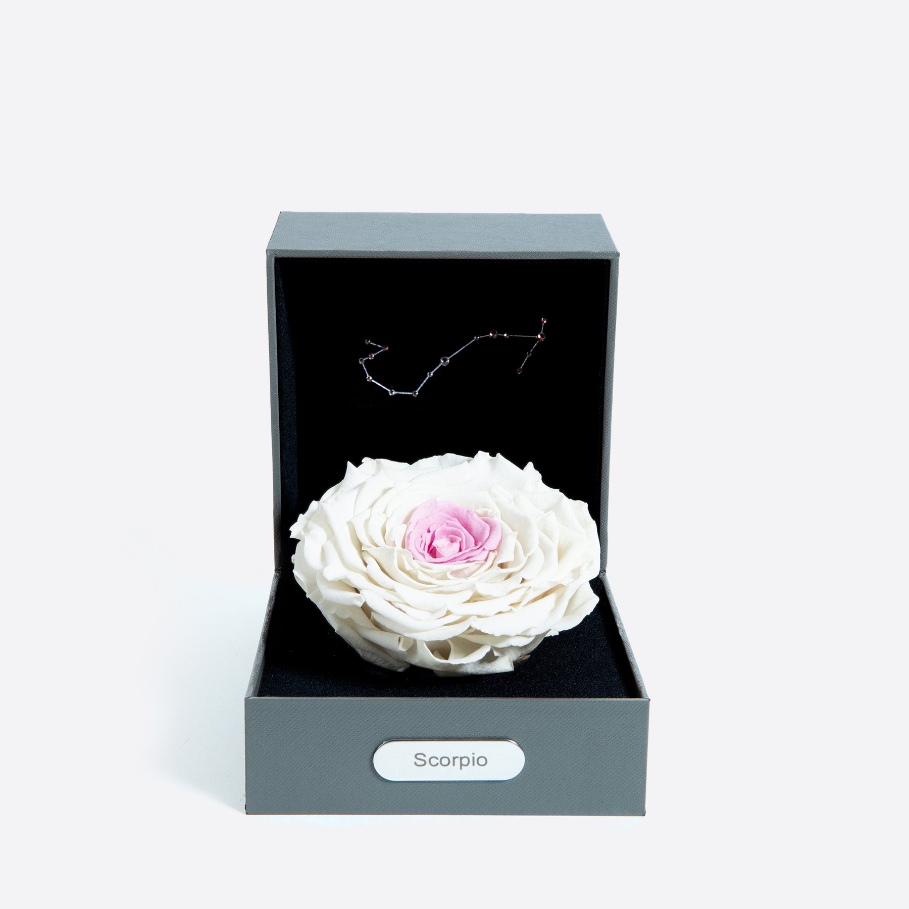 Scorpio Preserved Rose Constellation Zodiac Birthday Gift (10/24-11/22 ...