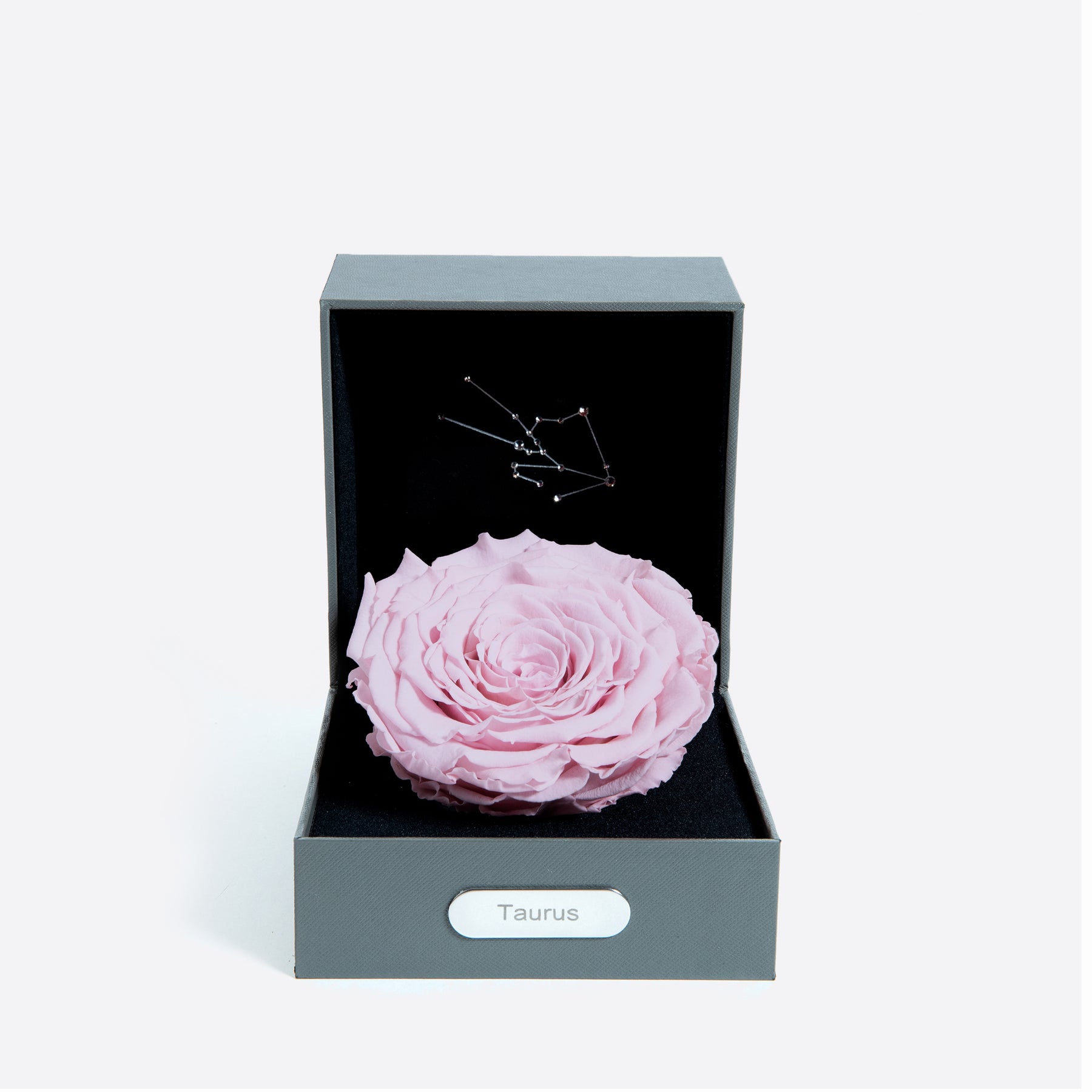 Taurus Preserved Rose Constellation Zodiac Birthday Gift (4/20-5/20 ...
