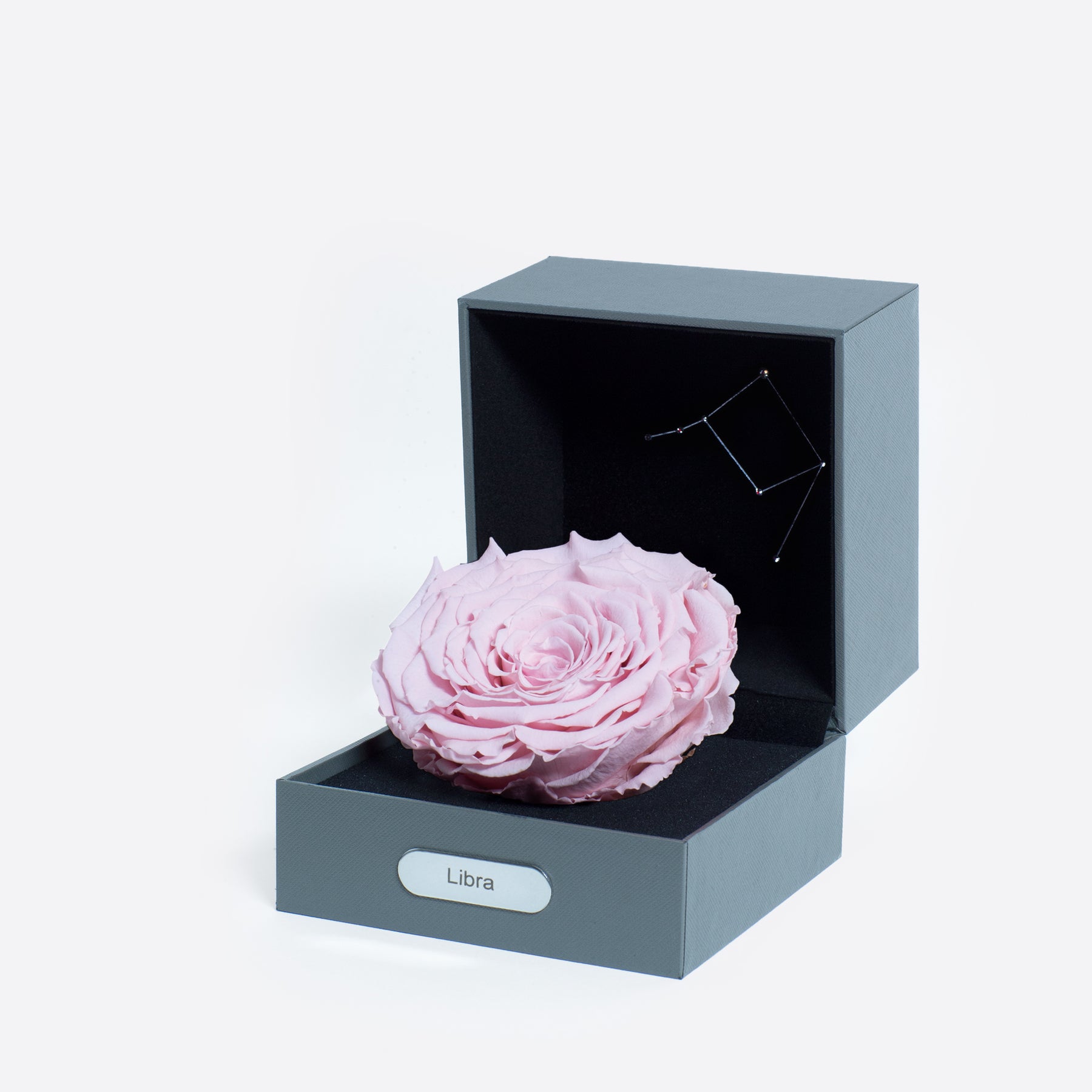 Libra Preserved Rose Constellation Zodiac Birthday Gift (9/23-10/23 ...