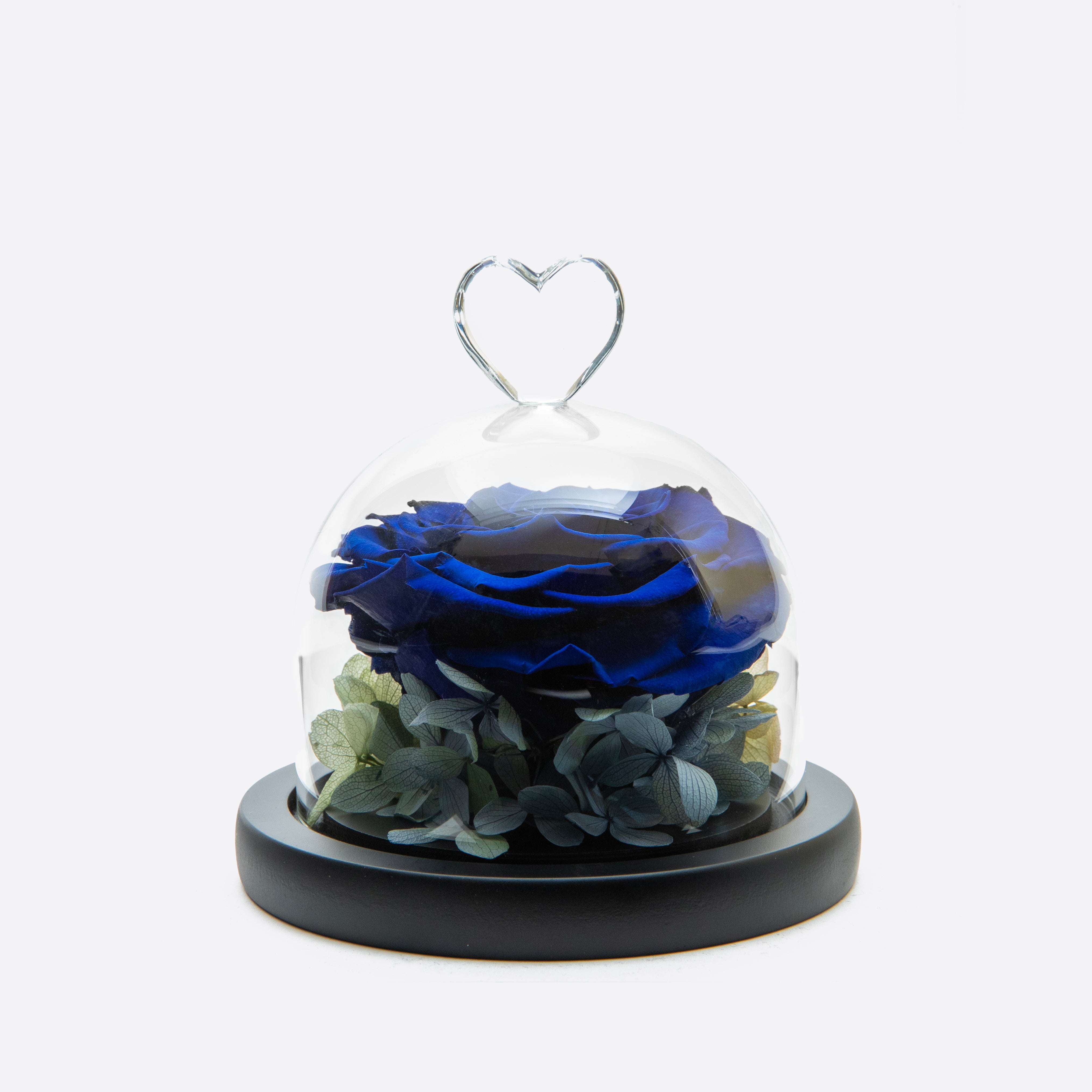 Heart Glass Dome Royal Blue Rose – TheOnlyRoses