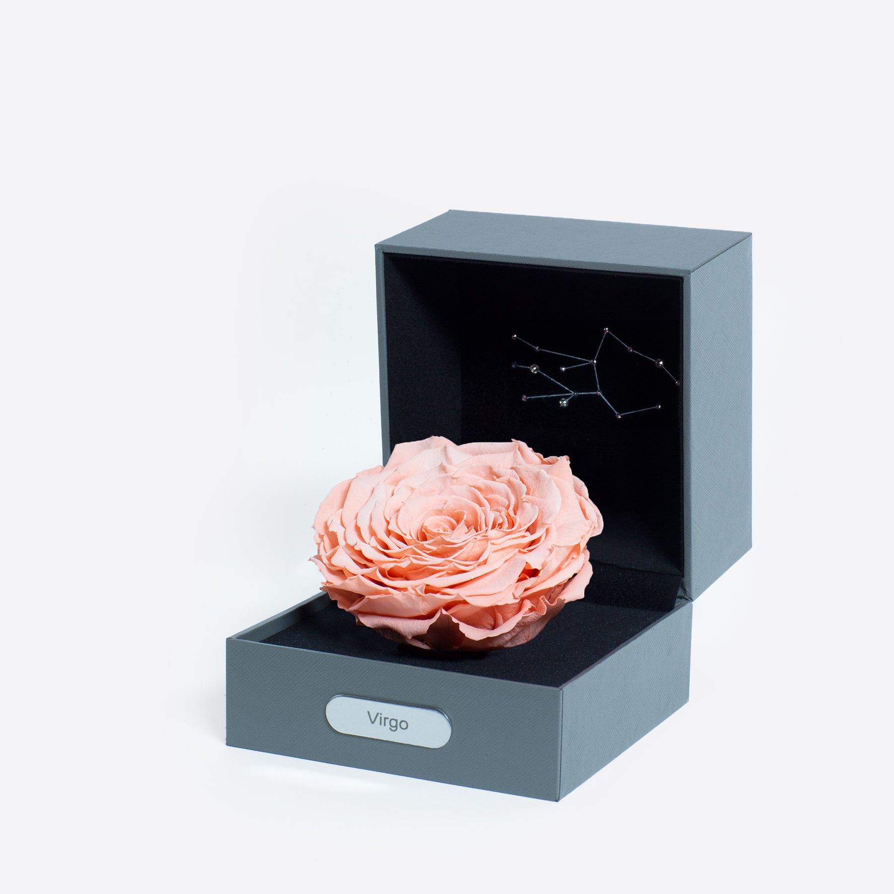 Virgo Preserved Rose Constellation Zodiac Birthday Gift (8/23-9/22 ...