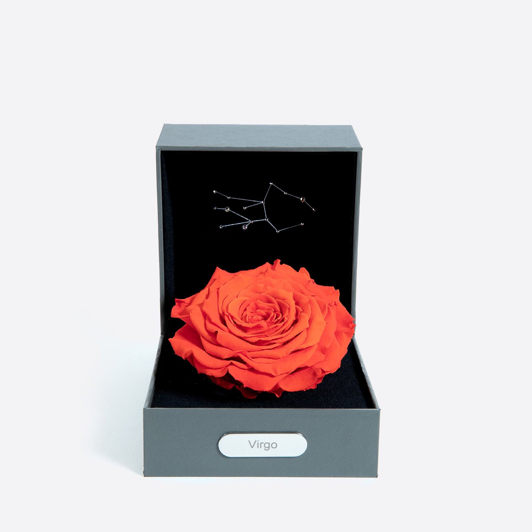 Virgo Preserved Rose Constellation Zodiac Birthday Gift (8/23-9/22 ...