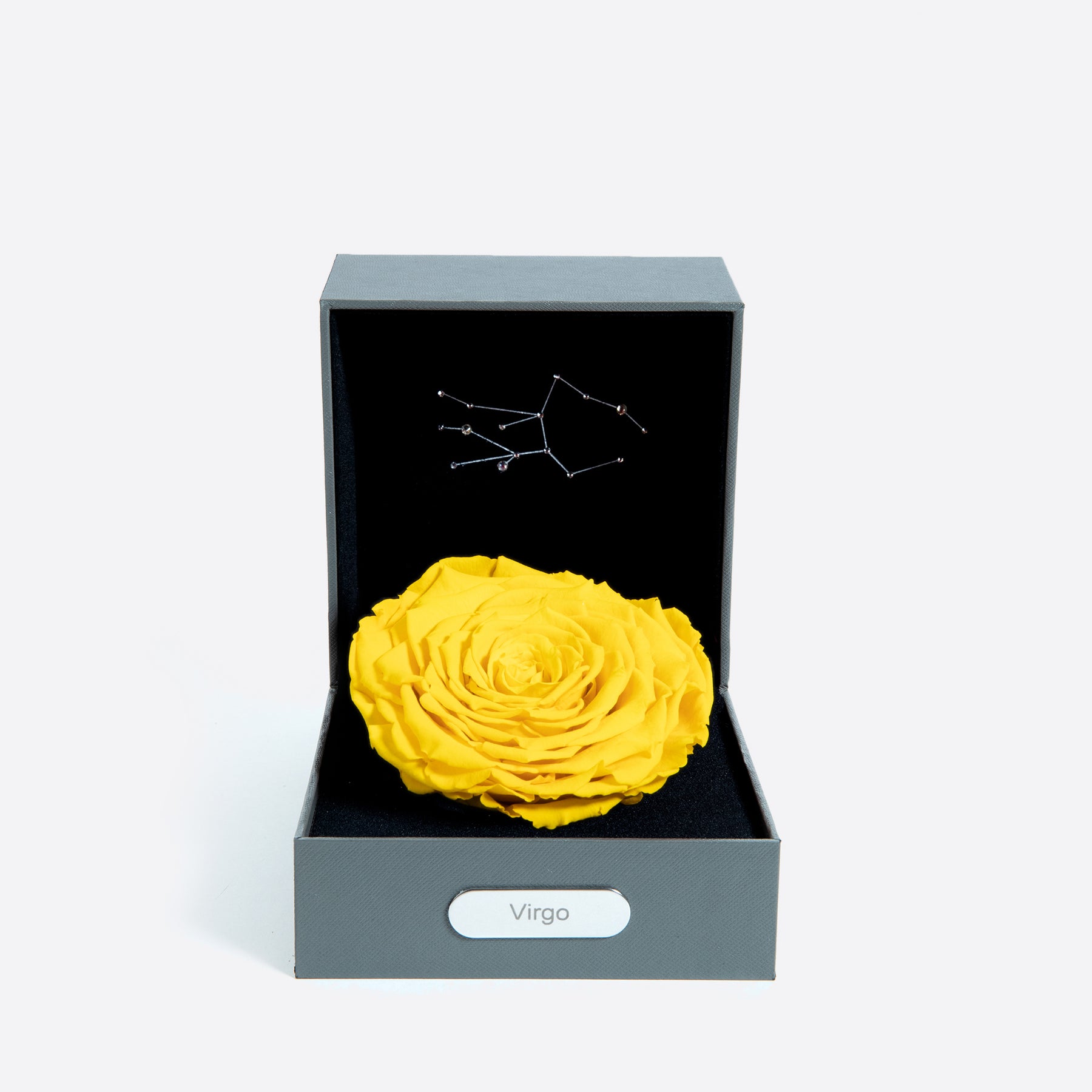 Virgo Preserved Rose Constellation Zodiac Birthday Gift (8/23-9/22 ...