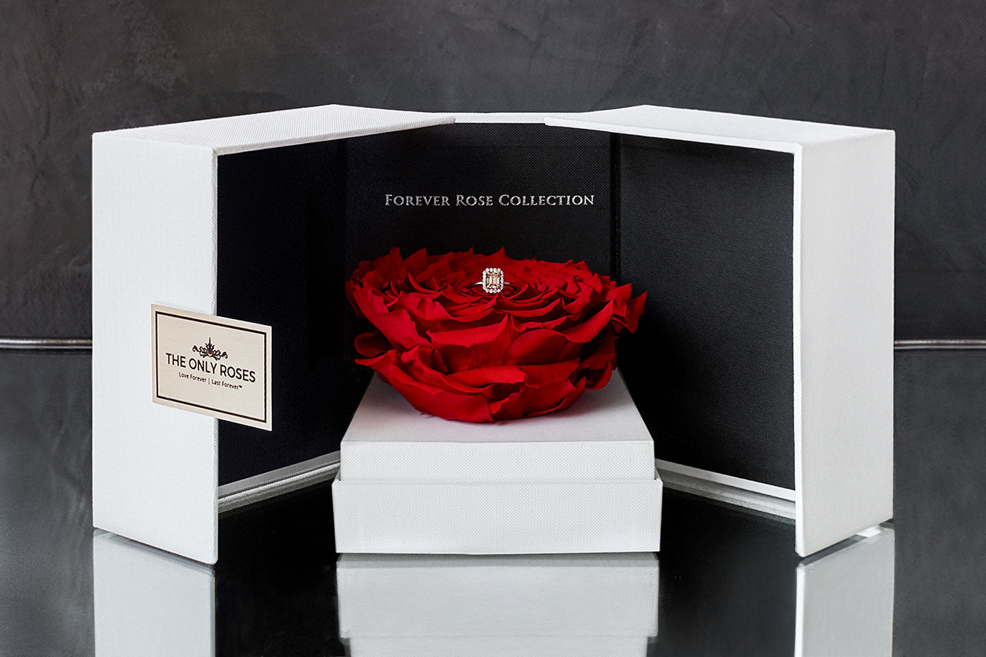 Everlasting Roses – TheOnlyRoses