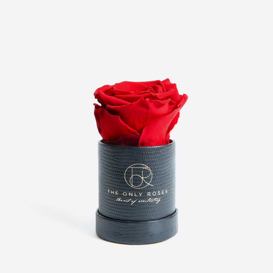 Shop All – TheOnlyRoses