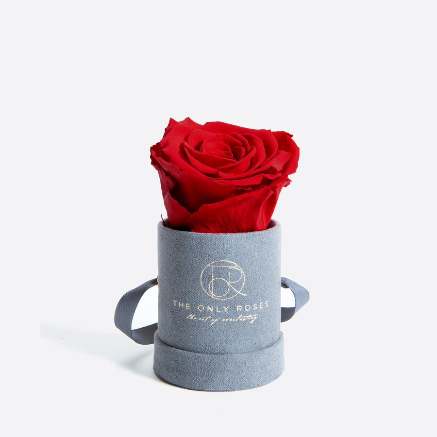 Shop All – TheOnlyRoses
