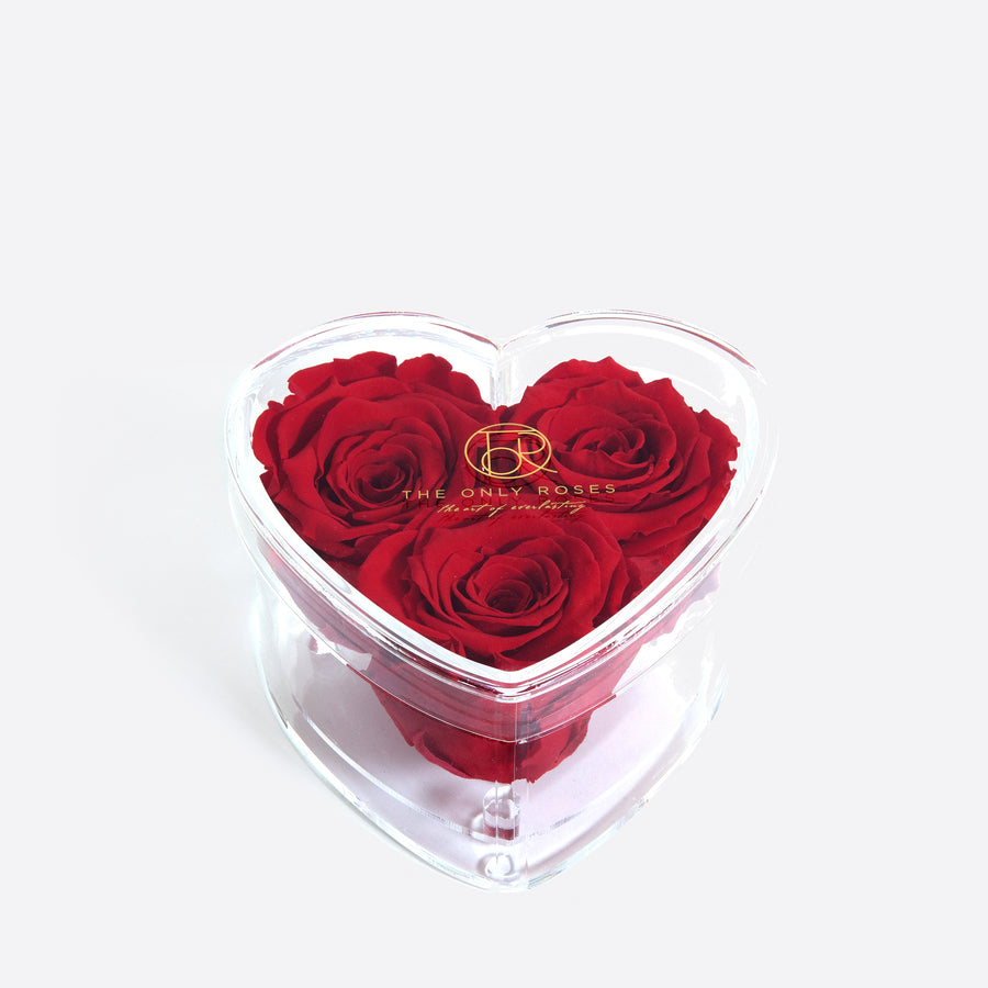 The Only Roses® | Real Flower That Last 3 to 5 Years – TheOnlyRoses