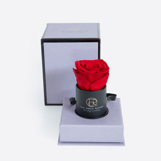The Only Roses® | Real Flower That Last 3 to 5 Years – TheOnlyRoses