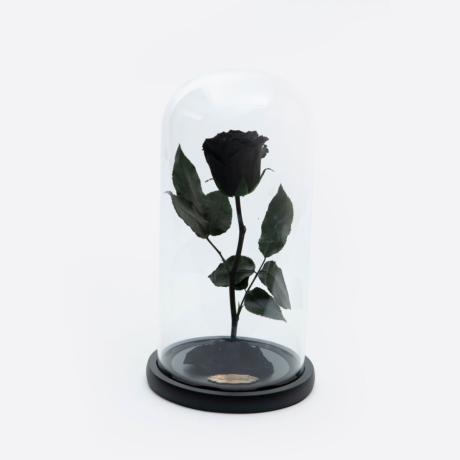 Black Preserved Rose Beauty and The Beast Glass Dome – TheOnlyRoses