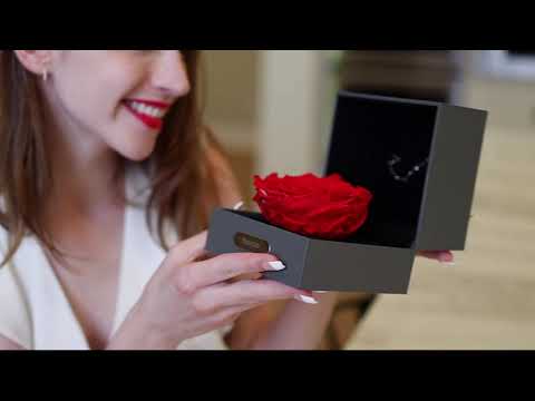 Virgo Preserved Rose Constellation Zodiac Birthday Gift (8/23-9/22 ...